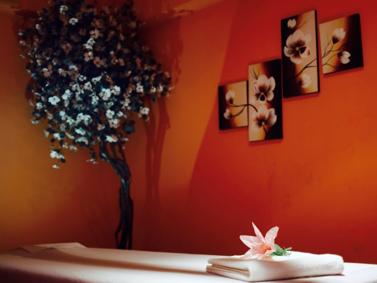 Tour | New Life Spa
